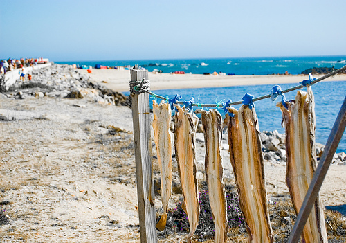 Bacalhau Fish